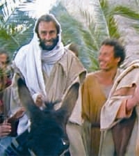 Light of the World 22