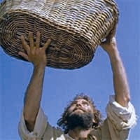 Light of the World 8